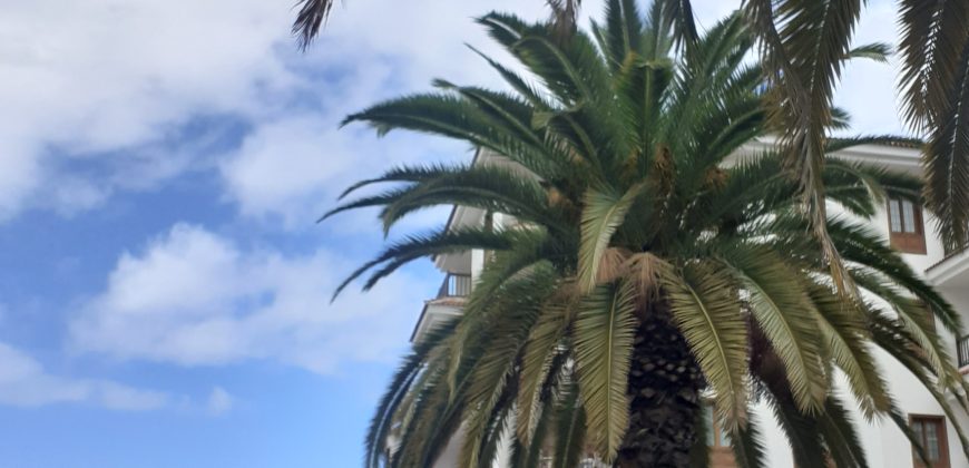 Parking space - Collette Fisher